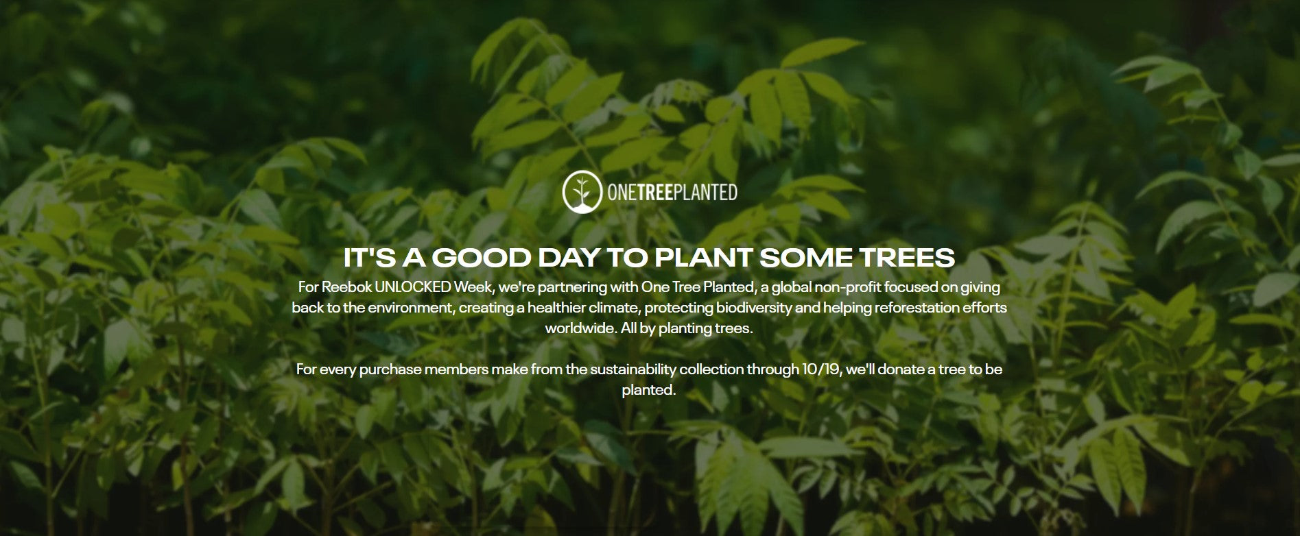 Sustainability – Reebok